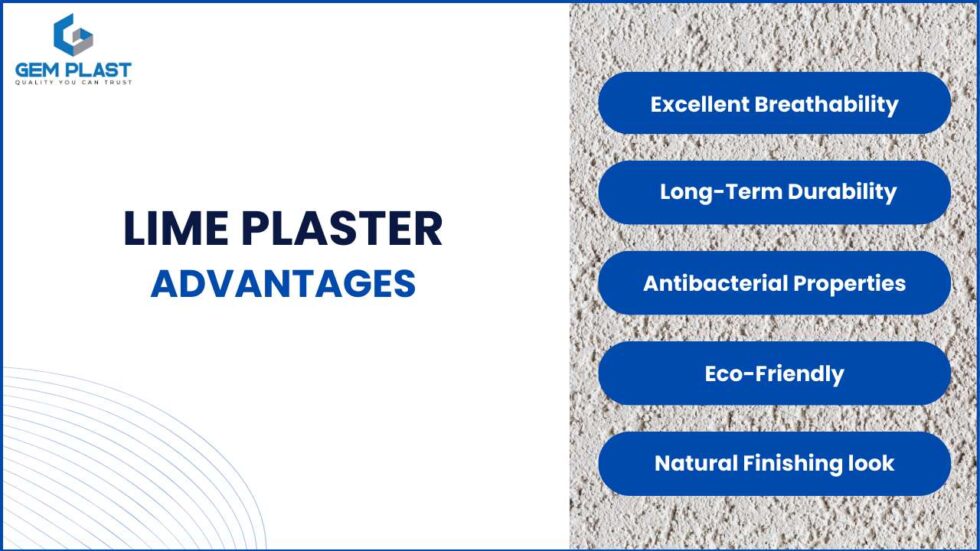 Lime Plaster vs Gypsum Plaster: Which Is Better for Home Construction?